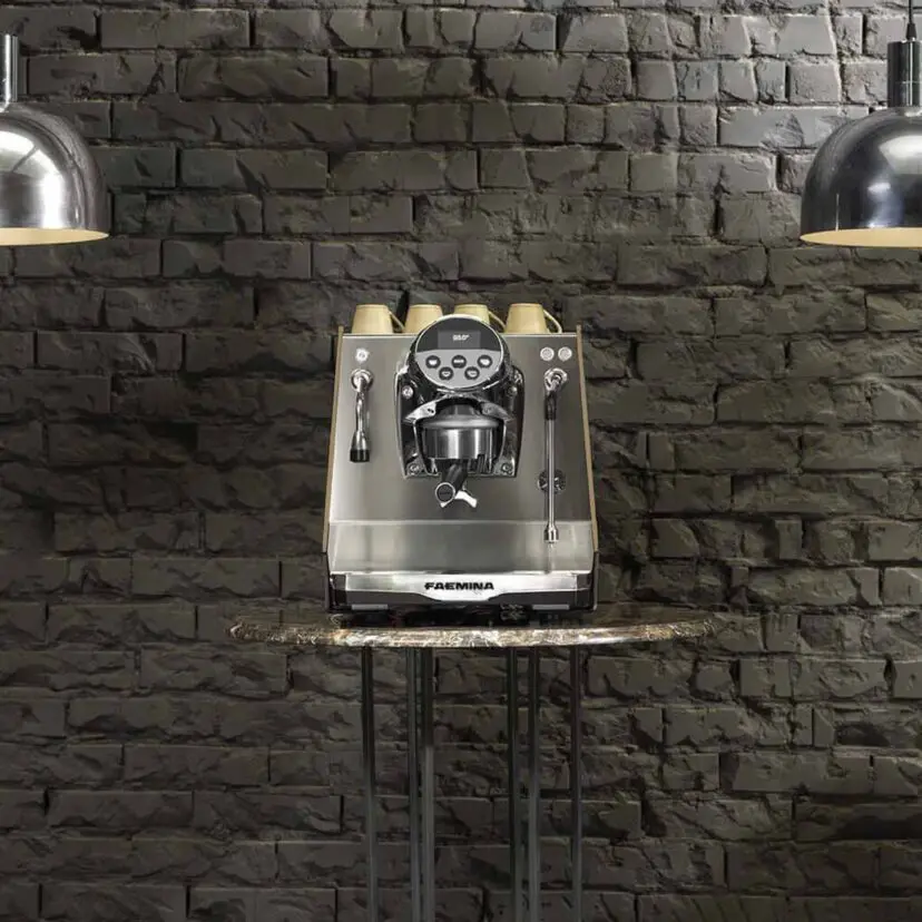 Faema Faemina Dual Boiler Espresso Machine with AUTOSTEAM | 1st-line.com