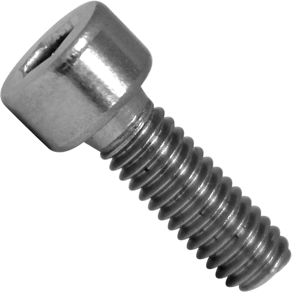 Fiorenzato A1100200 M4x8 Screw