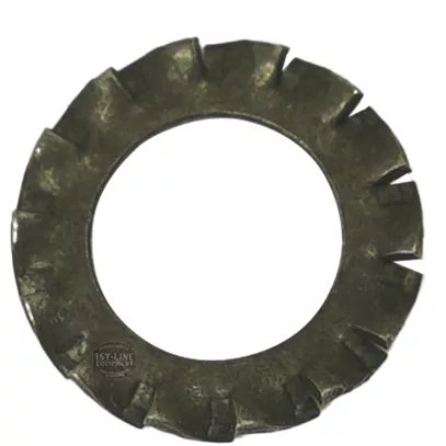 Elektra 01816035 Washer - Inox | 1st-line.com
